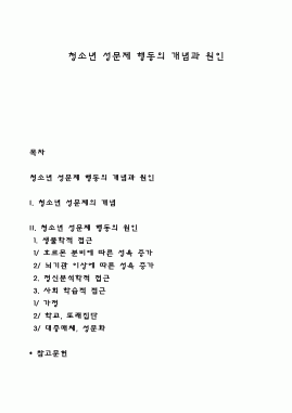 청소년 성문제 행동의 개념과 원인-1페이지