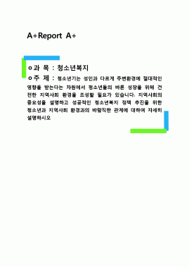 청소년복지)지역사회의 중요성을 설명하고 성공적인 청소년복지 정책 추진을 위한-1페이지