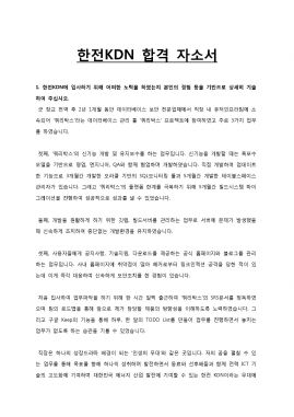 한전KDN 합격 자기소개서-1페이지