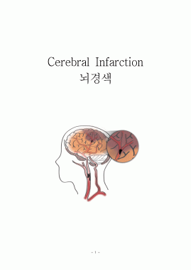 뇌경색 cerebral infarction-1페이지