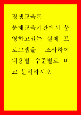 평생교육론 ) 문해교육기관에서 운영하고있는 실제 프로그램-1페이지