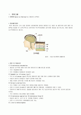 세균성 수막염 (Bacterial Meningitis)
-1페이지