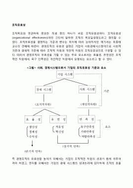 조직유효성 레포트-1페이지