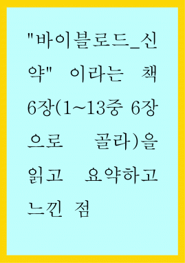 요약 느낀점) 바이블로드신약 이라는 책 6장(1~13중 6장으로 골라)을 읽고 요약하고 느낀 점-1페이지