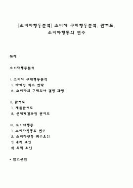 [소비자행동분석] 소비자 구매행동분석 관여도 소비자행동의 변수 레포트-1페이지