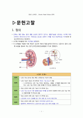 성인간호학 실습case study - 만성신부전 -1페이지