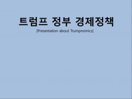 트럼프 정부 경제정책 ppt-1페이지