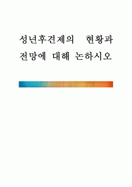 성년후견제의 현황과 전망에 대해 논하시오-1페이지