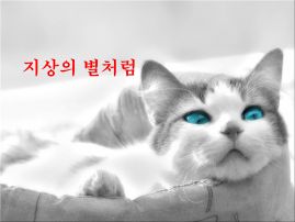 지상의별처럼 사회복지관점 영화감상문(장애인주인공 주의력결핍장애 ADHD 난독증)PPT 프레젠테이션-1페이지