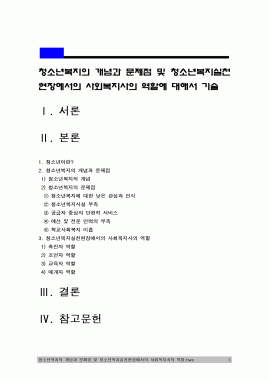 청소년복지의 개념과 문제점 및 청소년복지실천현장에서의 사회복지사의 역할에 대해서 기술-1페이지