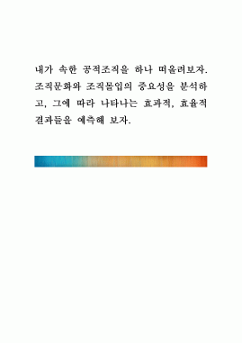 내가 속한 공적조직을 하나 떠올려보자 조직문화와 조직몰입의 중요성을 분석하고 그에 따라 나타나는 효과적 효율적 결과들을 예측해 보자-1페이지