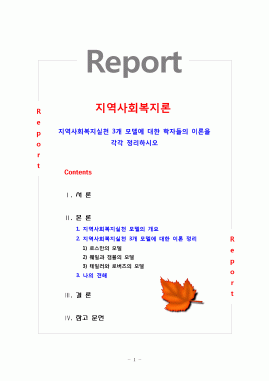 [지역사회복지론] 지역사회복지실천 3개 모델에 대한 학자들의 이론을 각각 정리하시오-1페이지