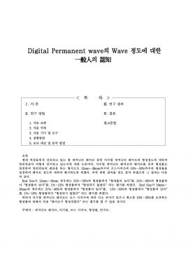 Digital Permanent wave의 Wave 정도에 대한 일반인 인지-1페이지