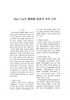 HairCut의도해도요소에대한분석-1페이지