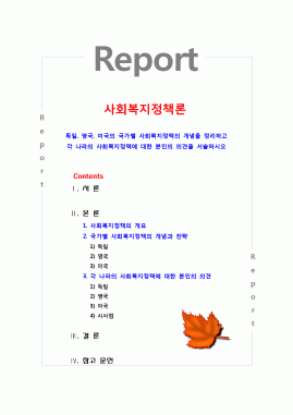 [사회복지정책론] 독일 영국 미국의 국가별 사회복지정책의 개념을 정리하고 각 나라의 사회복지정책에 대한 본인의 의견을 서술하시오-1페이지