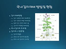 국내감자재배방법과 현황(ppt)-1페이지