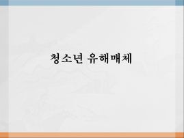 청소년 유해매체,유해매체의 정의,유해매체의 분류,정보 체계의 비교-1페이지