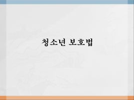 청소년보호법의 목적,청소년의 연령,청소년 유해업소,청소년고용금지업소,인터넷게임 중독 예방,청소년보호위원회-1페이지