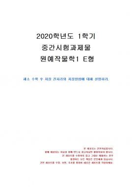 2020년 1학기 원예작물학1 중간시험과제물 E형(채소 수확 후 저장 전처리와 저장방법)-1페이지