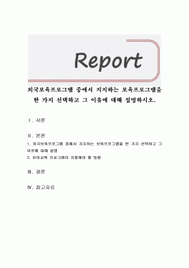 외국보육프로그램 중에서 지지하는 보육프로그램을 한 가지 선택하고 그 이유에 대해 설명하시오-1페이지