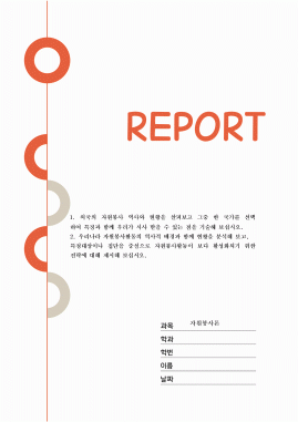 외국의 자원봉사 역사와 현황을 살펴보고 그중 한 국가를 선택하여 특징과 함께 우리가 시사 받을 수 있는 점을 기술해 보십시오-1페이지