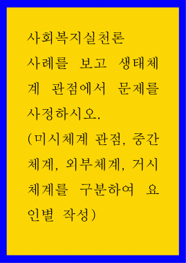 사회복지실천론 ) 사례를 보고 생태체계 관점에서 문제를 사정하시오-1페이지