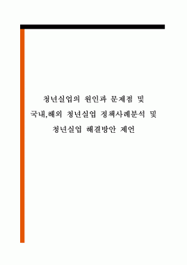 청년실업 원인과 문제점 및 국내 해외 청년실업 정책사례분석 및 청년실업 해결방안 제언-1페이지