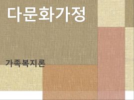 다문화가정 가족복지론 -1페이지