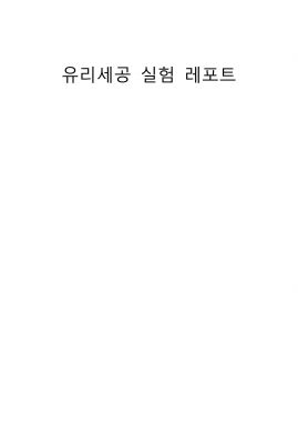 레포트 유리세공-1페이지