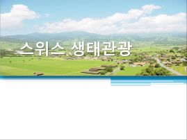 생태관광이란 관광 산업현황 스위스소개 생태관광정책 한국의 생태관광 사례 에코투어-1페이지