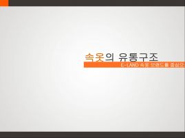 속옷의 유통구조 의류시장 상황 속옷시장의 변화 이랜드 속옷 브랜드 에블린 유통구조-1페이지