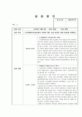 사회복지실습일지 (1일 8시간 * 15일 분량/ 120시간)-1페이지