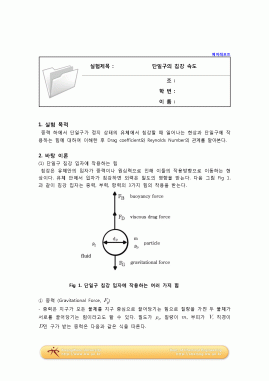 단일구의 침강속도 실험_예비레포트-1페이지