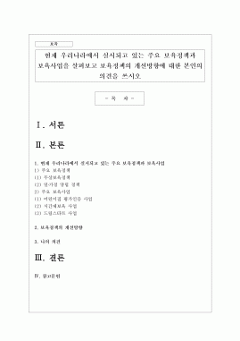 현재 우리나라에서 실시되고 있는 주요 보육정책과 보육사업을 살펴보고 보육정책의 개선방향에 대한 본인의 의견을 쓰시오-1페이지