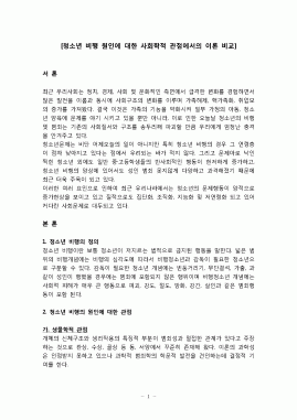 청소년 비행 원인에 대한 사회학적 관점에서의 이론 비교-1페이지