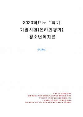 2020년 1학기 청소년복지론 기말시험 과제물-1페이지