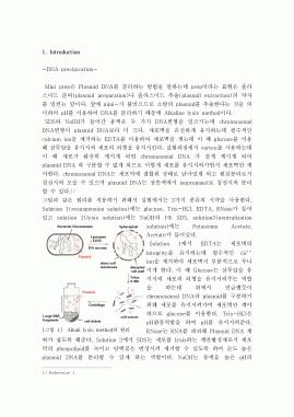 DNA prep & Luciferase assay & Realtime PCR-1페이지