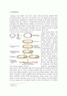 Gene Cloning 실험보고서-1페이지