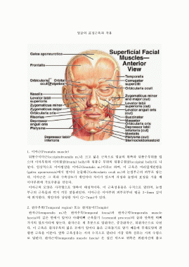 얼굴의표정근육과 작용-1페이지