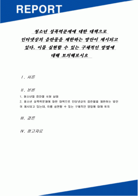 청소년 성폭력문제에 대한 대책으로 인터넷상의 음란물을 제한하는 방안이 제시되고 있다-1페이지