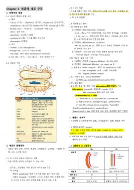 약품미생물학-3,4,7,8장 요점정리-1페이지