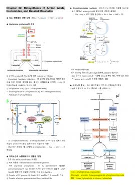 레닌저 생화학 22~28장 요점정리-1페이지