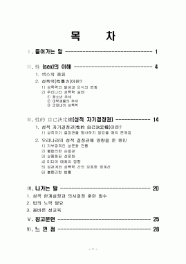 성적 자기결정권의 이해-1페이지