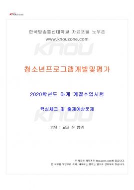 2020년 청소년프로그램개발및평가 하계계절시험 핵심체크-1페이지