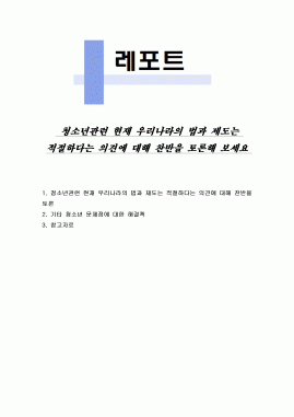 청소년관련 현재 우리나라의 법과 제도는 적절하다는 의견에 대해 찬반을 토론해 보세요-1페이지