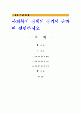 사회복지 정책의 정의에 관하여 설명하시오-1페이지