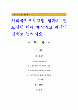 사회복지프로그램 평가의 필요성에 대해 제시하고 자신의 견해로 논하시오-1페이지