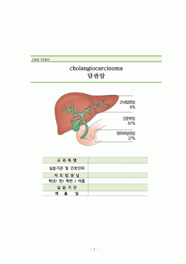 신촌세브 암병동 담관암-1페이지