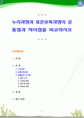 누리과정과 표준보육과정의 공통점과 차이점을 비교하시오-1페이지