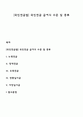 [국민연금법] 국민연금 급여의 수준 및 종류-1페이지